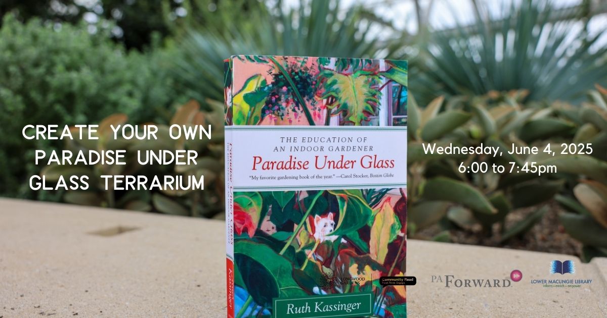 Create Your Own Paradise Under Glass Terrarium (Adult Event ...