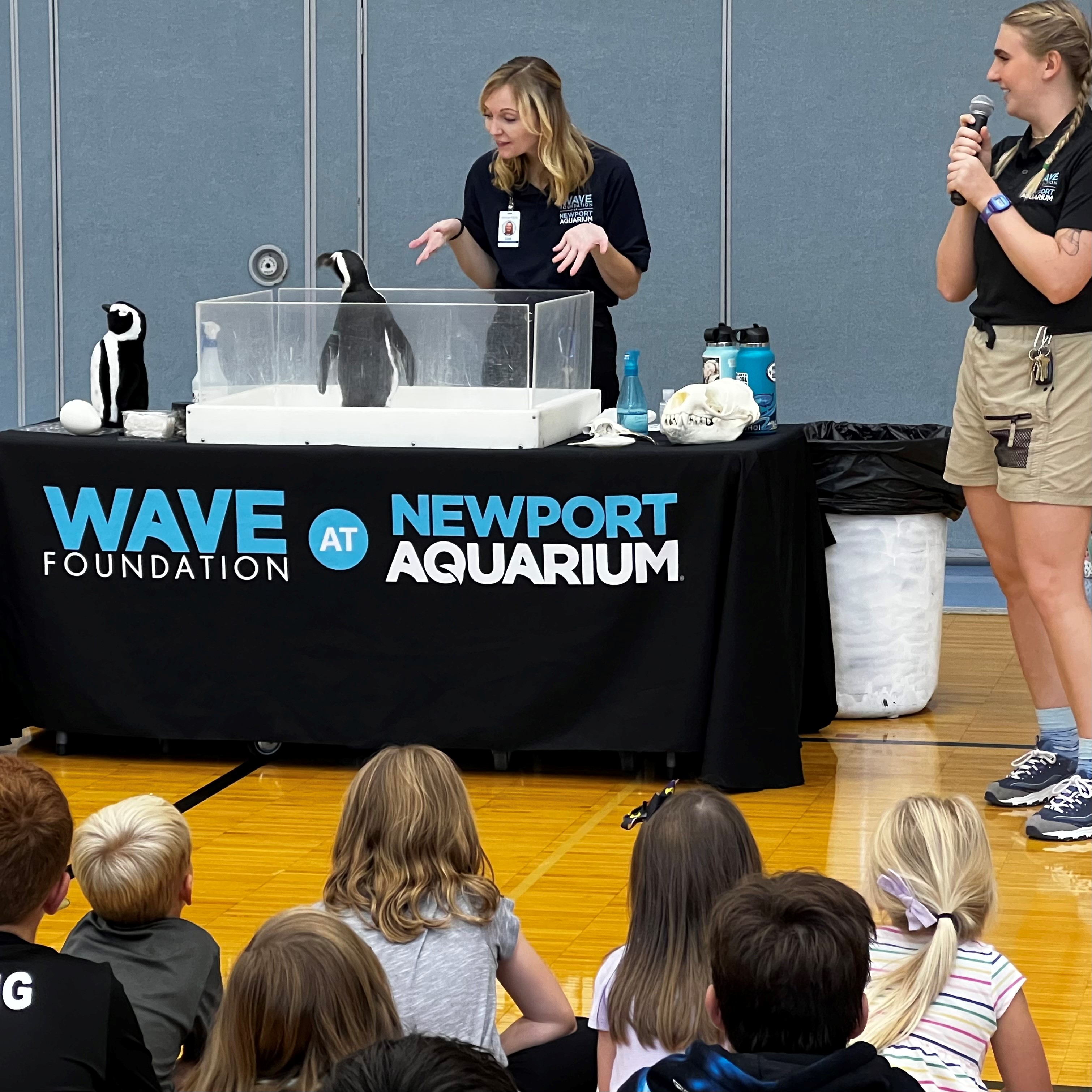 Meet a Penguin - Monday, October 14, 2024, 2:00 PM - Greenwood Public ...