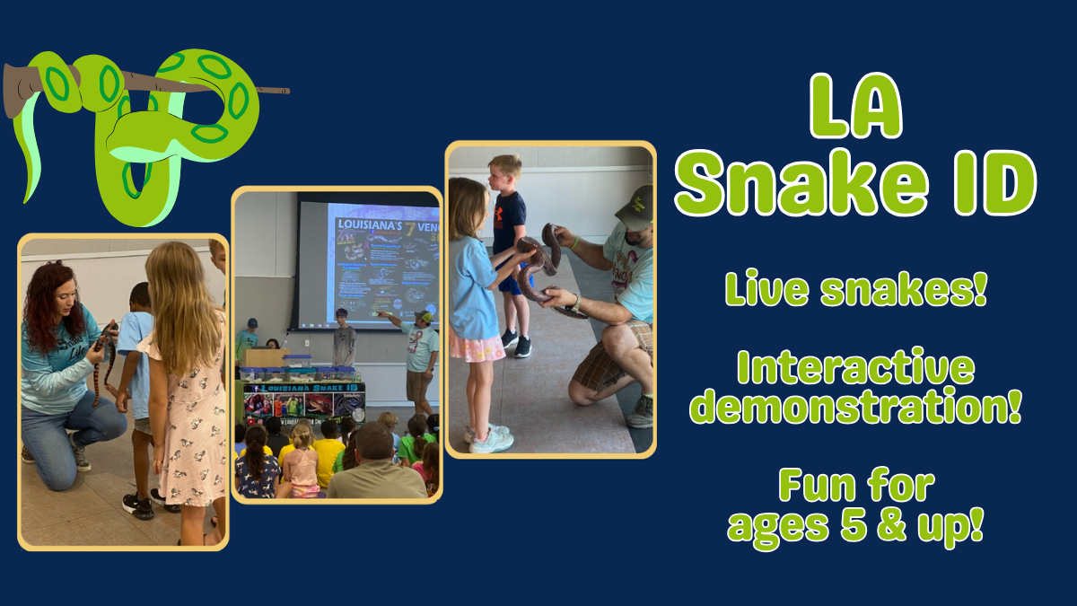 LA SNAKE ID - Tuesday, June 11, 2024, 10:00 AM - River Center Branch ...