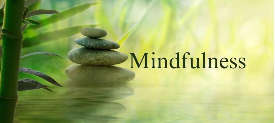 VIRTUAL Living a Mindful Life with Diane Lang - Monday, January 27 ...