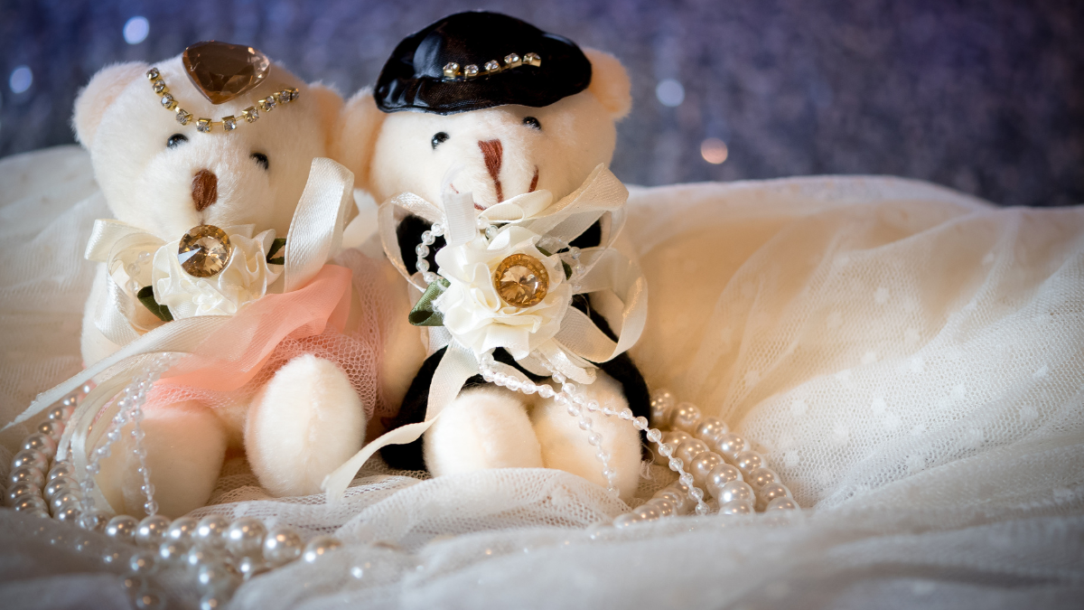 Teddy Bear Prom (C) - Saturday, November 18, 2023, 11:00 AM - Branch ...