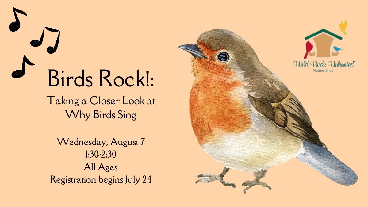 Birds Rock: Taking a Closer Look at Why Birds Sing - Wednesday, August ...