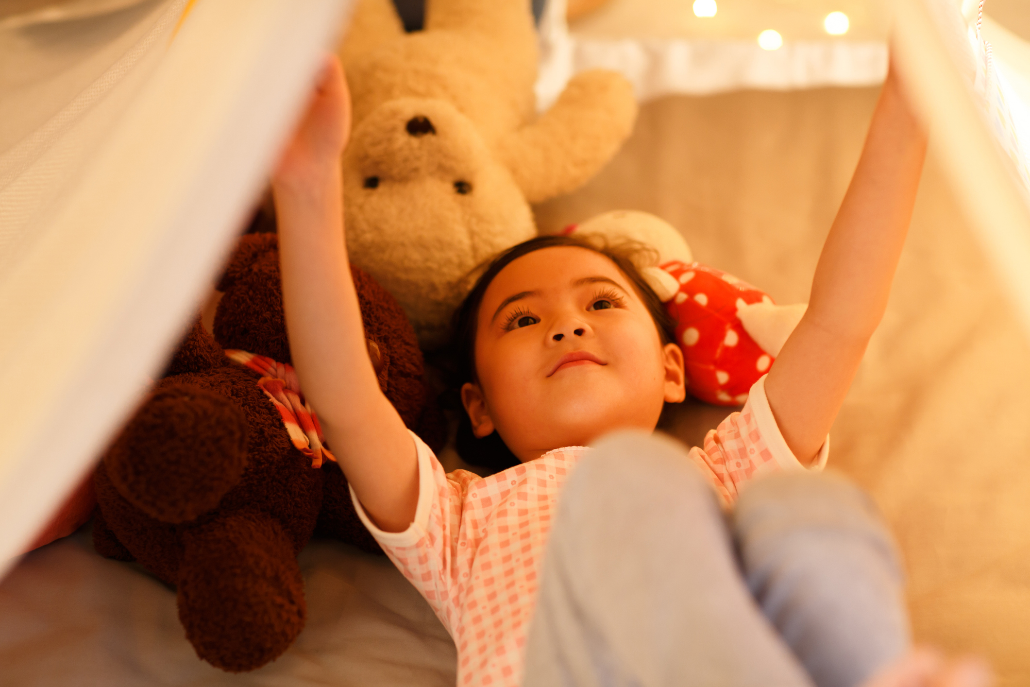 Stuffed Animal Sleepover: All Ages - Wednesday, August 20, 2025, 6:30 ...