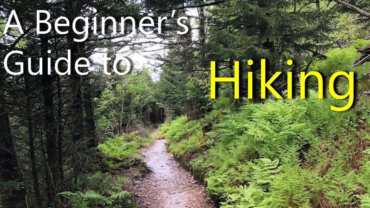 IN PERSON Step into Nature: A Beginner's Guide to Hiking with Mario ...