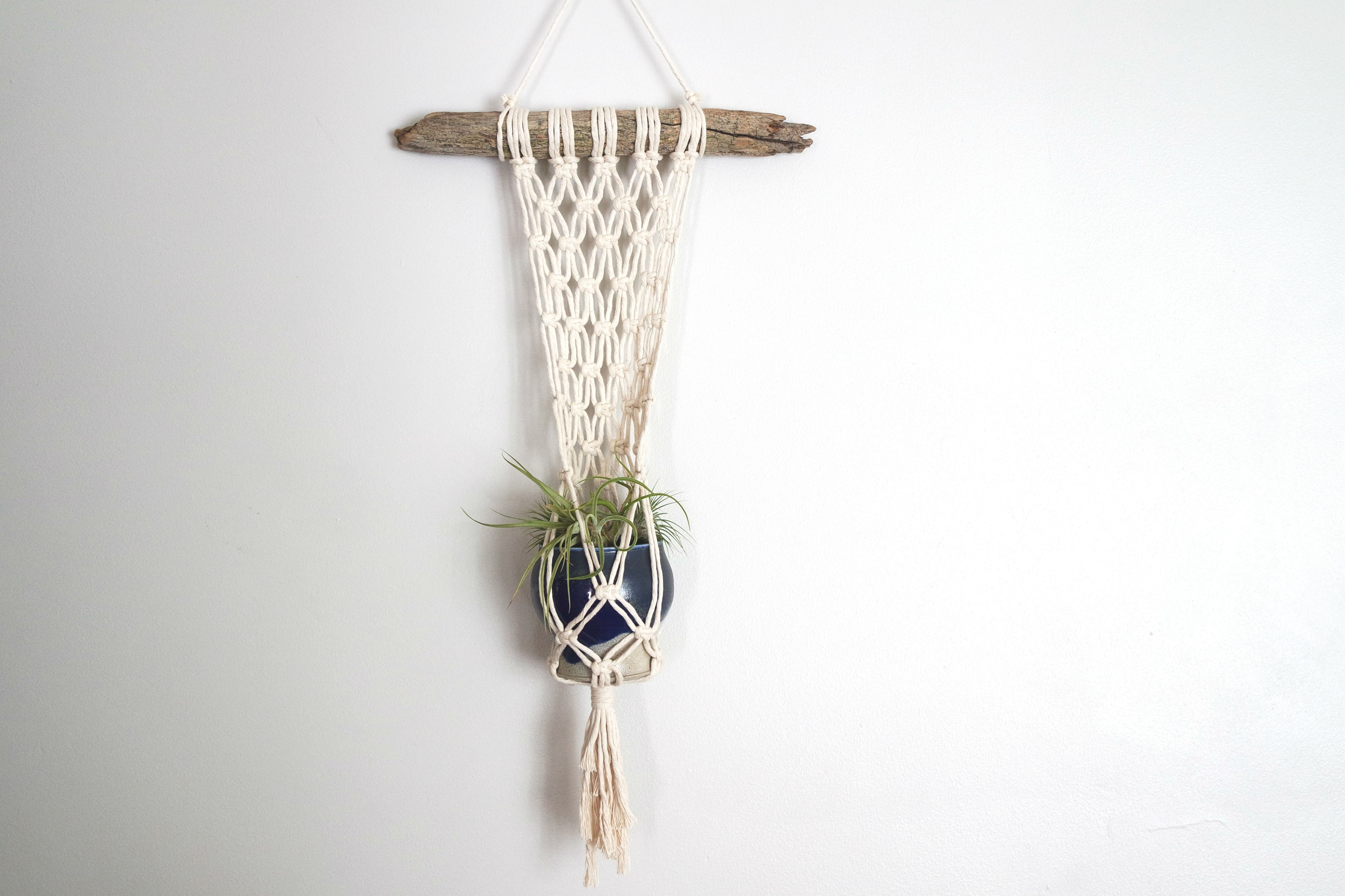 Knots & Pots Workshop - Friday, February 28, 2020, 4:00 PM - Bridgman ...