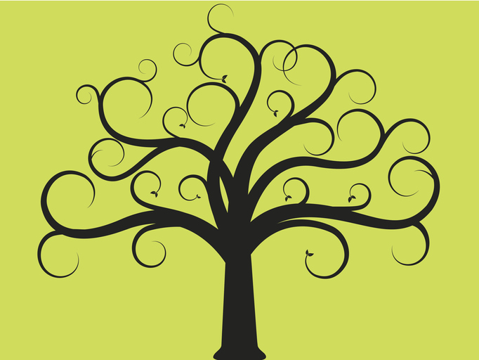 HYBRID - Genealogy Series: Family Trees From Scratch - Thursday, August ...