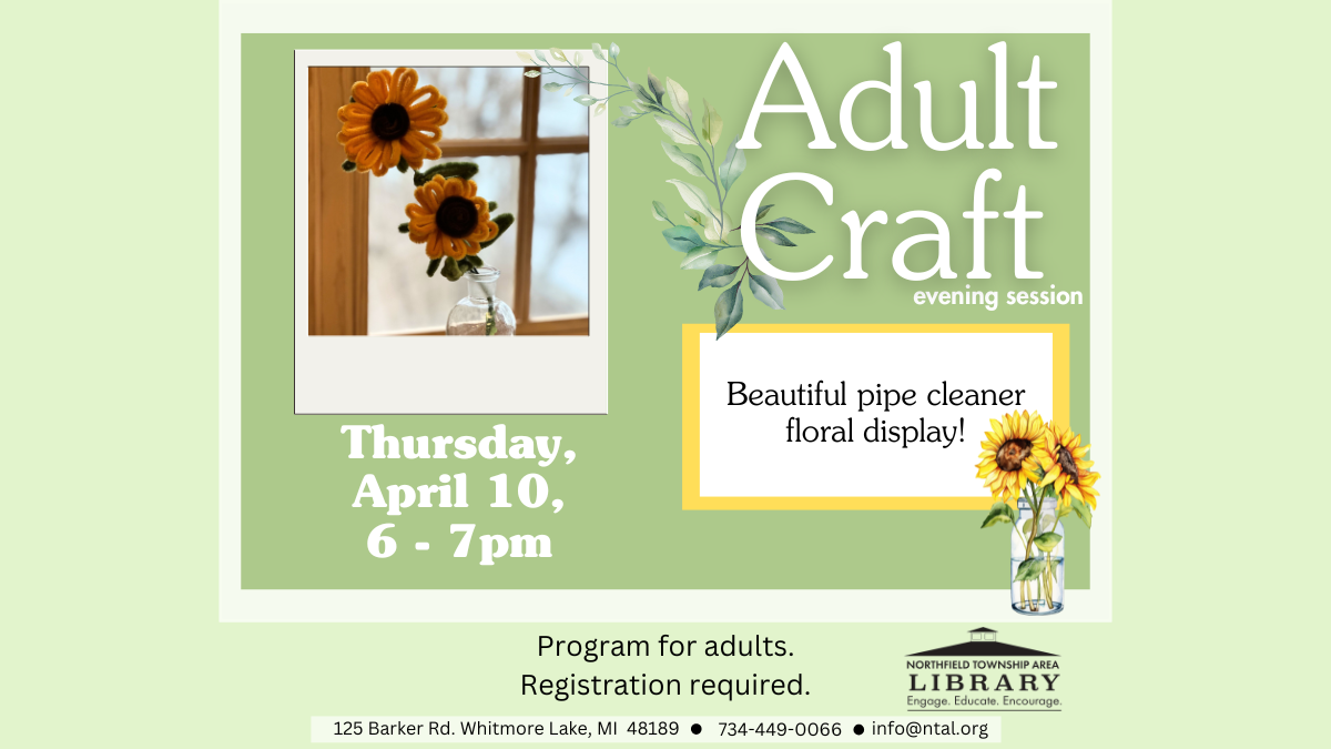 Adult Craft - Evening - Thursday, April 10, 2025, 6:00 PM - Northfield ...