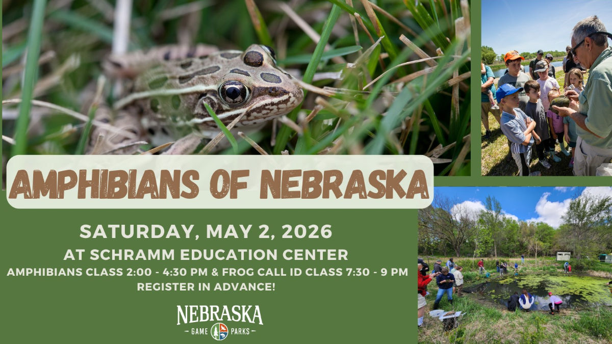 Frog & Toad Call Identification - Saturday, May 2, 2026, 7:30 PM ...